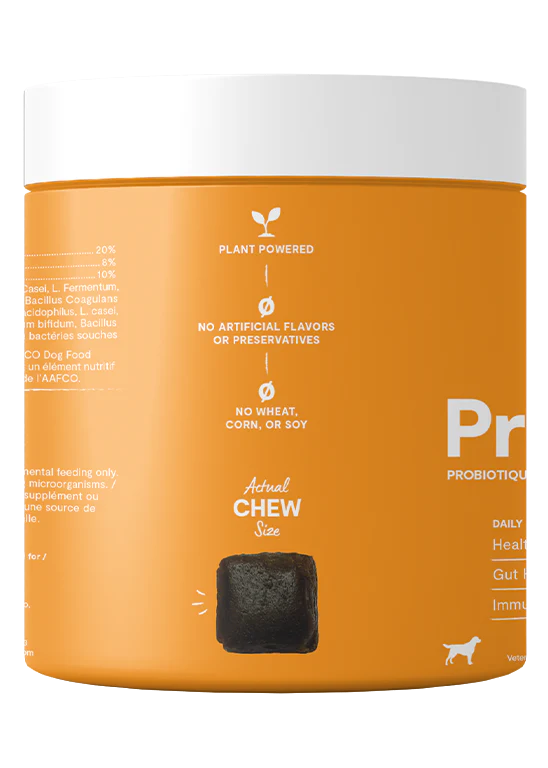 Probiotic Chews – WAGSUP